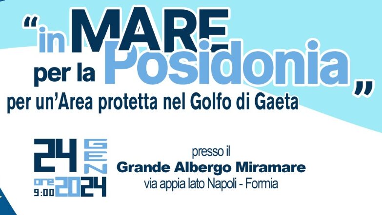 FORMIA, “In Mare per la Posidonia”: convegno per la salvaguardia dell ...