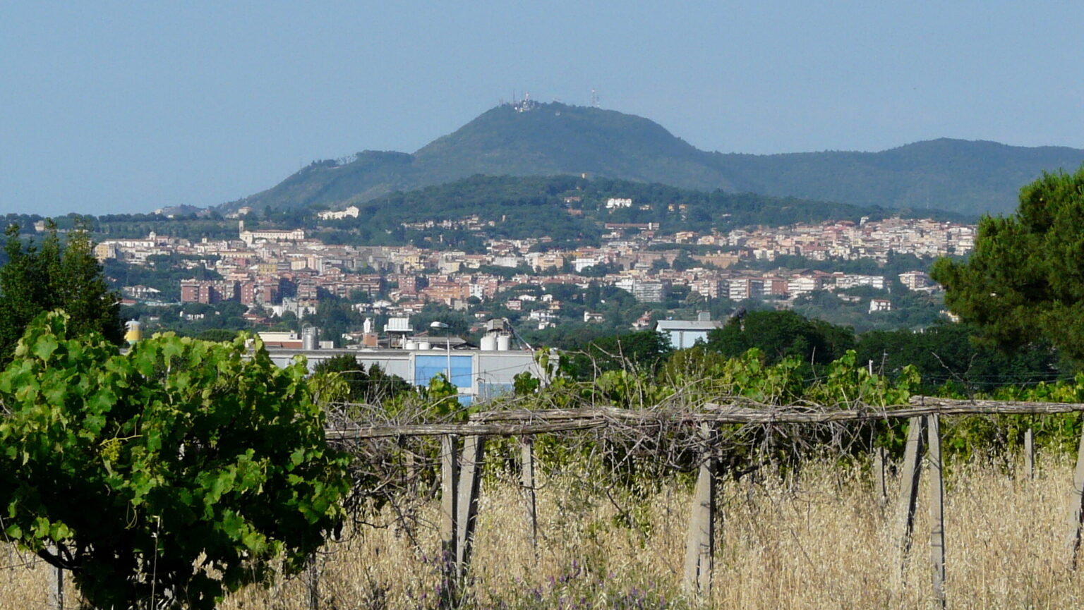 ALBANO LAZIALE, Italia Viva si rafforza sul territorio: boom di adesioni – Mondoreale